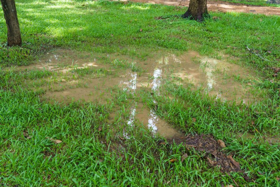 How to Remove Standing Water from Your Yard
